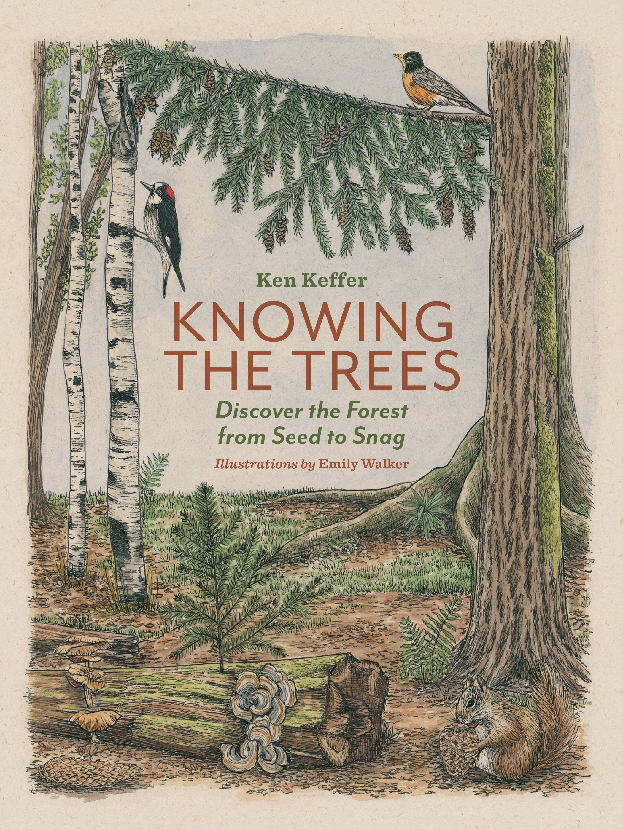 Knowing The Trees Discover The Forest From Seed To Snag Turntables